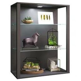 Wandregal Vcm "olz Glas Stand Vitrine Sammelvitrine Glasol LW", schwarz (anthrazit), B:70cm T:35cm, Regale, Wandregal