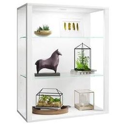 Wandregal Vcm "olz Glas Stand Vitrine Sammelvitrine Glasol LW", wei&szlig;, B:70cm T:35cm, Regale, Wandregal