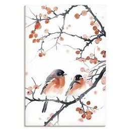 Wandbild Artland "Aquarell Gimpel", farbe bild(er): rot, B:80cm H:120cm, Bilder, als Alubild, Leinwandbild, Poster, Wandaufkleber in verschied. Gr&ouml;&szlig;en