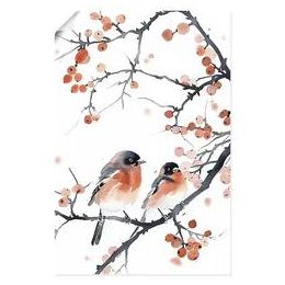 Wandbild Artland "Aquarell Gimpel", farbe bild(er): rot, B:60cm H:90cm, Papier, Bilder, als Alubild, Leinwandbild, Poster, Wandaufkleber in verschied. Gr&ouml;&szlig;en