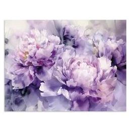 Wandbild Artland "Lila Farbene Pfingstrosen Aquarell", farbe bild(er): lila, B:40cm H:30cm, Alu Dibond, Bilder, als Alubild, Leinwandbild, Poster, Wandaufkleber in verschied. Gr&ouml;&szlig;en