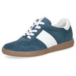 Plateausneaker Caprice, Damen, Gr. 39, blau, wei&szlig;, Leder, Veloursleder, Schuhe Plateausneaker, Freizeitschuh, Halbschuh, Schn&uuml;rschuh mit Kontrastbesatz