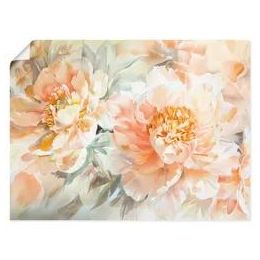 Wandbild Artland "Pfirsisch Farbene Pfingstrosen Aquarell", farbe bild(er): orange, B:40cm H:30cm, Papier, Bilder, als Alubild, Leinwandbild, Poster, Wandaufkleber in verschied. Gr&ouml;&szlig;en
