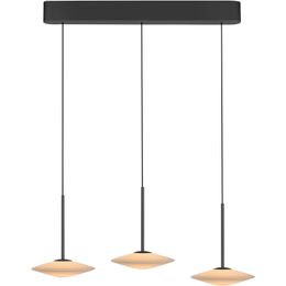 Paul Neuhaus LED Pendelleuchte "ELIPSA", schwarz, 3, &Oslash; 20cm H: 80cm, 1 Stk., Leuchten, Dimmf&auml;hig &uuml;ber separaten Tronicdimmer, Comfort-Lift, LED Pendelleuchte