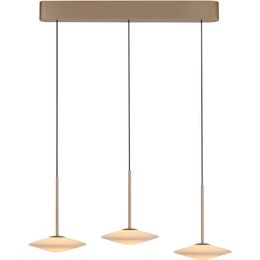 Paul Neuhaus LED Pendelleuchte "ELIPSA", 3, &Oslash; 20cm H: 80cm, 1 Stk.bronze, Leuchten, Dimmf&auml;hig &uuml;ber separaten Tronicdimmer, Comfort-Lift