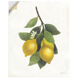 Wandbild Artland "Lemon Branch III", farbe bild(er): naturfarben, B:90cm H:120cm, Bilder, als Alubild, Leinwandbild, Poster, Wandaufkleber in verschied. Gr&ouml;&szlig;en