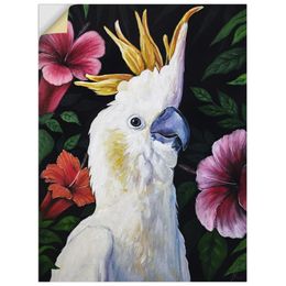 Wandbild Artland "Coco Paradiso", farbe bild(er): schwarz, B:60cm H:80cm, Bilder, als Alubild, Leinwandbild, Poster, Wandaufkleber in verschied. Gr&ouml;&szlig;en