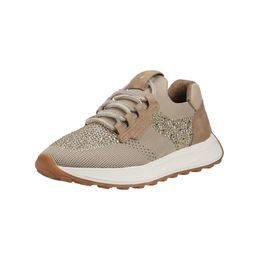 Sneaker Tom Tailor "Tom Tailor Sneaker Textil", Damen, Gr. 37, sand, Textil, Schuhe Sneaker