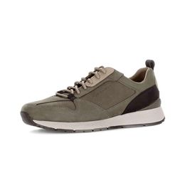 Sneaker Gabor "Sneaker low", Herren, Gr. 48,5, gr&uuml;n, Schuhe Sneaker
