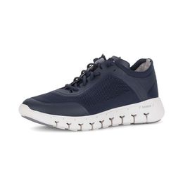 Sneaker Gabor "Sneaker low", Herren, Gr. 40,5, blau, Schuhe Sneaker