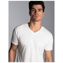 T-Shirt TRIGEMA "TRIGEMA V-Shirt aus 100% Lyocell", Herren, Gr. XXL, wei&szlig;, 100% Lyocell, Basic, Shirts T-Shirt