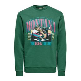 Only & Sons Only & Sons Sweatshirt 'ONSCERES MONTO' male Green size S