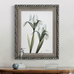 Bilderwelten Bild mit Barockrahmen Antik Blumen Motiv Barock gr&uuml;n - X-Ray - Schwertlilie - edle Optik Wohnzimmer Schlafzimmer
