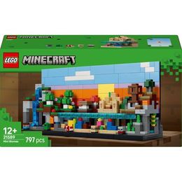 Lego Minecraft 21589 Mini-Biome