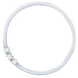Osram Leuchtstoff Ringlampe T5 FC40W 830 2GX13 Circular
