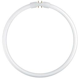 Osram Leuchtstoff Ringlampe T5 FC22W 840 2GX13 Circular