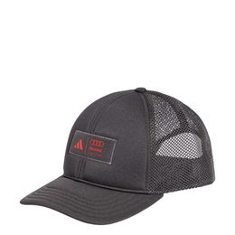 adidas Performance Athletic Cap 'Audi Formula One Team' male Grey size S/M