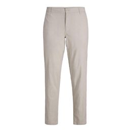 Jj Rebel Chino Pants 'JREBOLIVER' male Grey size 31