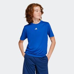 T-Shirt adidas Sportswear "TRAIN ESSENTIALS LOGO REGULAR FIT KIDS", Jungen, Gr. 140, blau (royal blau, wei&szlig;), Obermaterial: 100% Polyester, Rundhals, Shirts T-Shirt