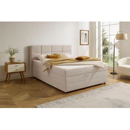 Boxbett OTTO HOME "Fillmore inkl. Bettkasten, Liegefl&auml;che 140 und 180x200 cm", beige, B:154cm L:210cm, Komplettbetten, Boxbett, inkl. Topper, erh&auml;ltlich in verschiedenen Farben