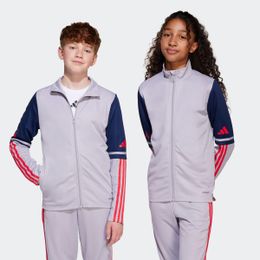 Trainingsjacke adidas Performance "SQUADRA 25 KIDS", Damen, Gr. 176, rot (glory grau, team navy blau 2, pure ruby), Obermaterial: 100% Polyester, Jacken Trainingsjacke