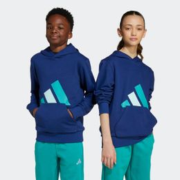 Kapuzensweatshirt adidas Sportswear "ESSENTIALS KIDS HOODIE", Damen, Gr. 164, dunkelblau, pure teal, halo mint, Obermaterial: 55% Baumwolle, 36% Polyester, 9% Viskose, normal, Rundhals, angesetztes B&uuml;ndchen, Sweatshirts Kapuzensweatshirt