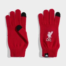 Trainingshandschuhe adidas Performance "FC LIVERPOOL", Gr. L, wei&szlig; (strawberry rot, wei&szlig;), Obermaterial: 99% Polyester, 1% Elasthan, Handschuhe Trainingshandschuhe, Liverpool
