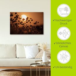 Wandbild Artland, B:120cm H:80cmfarbe bild(er): naturfarben, Leinwand, Wohnzimmer, Bilder, "Abendsonne - Tanz des Wollgrases", als Alubild,