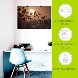 Wandbild Artland, B:120cm H:80cmfarbe bild(er): naturfarben, Papier, Wohnzimmer, Bilder, "Abendsonne - Tanz des Wollgrases", als Alubild,