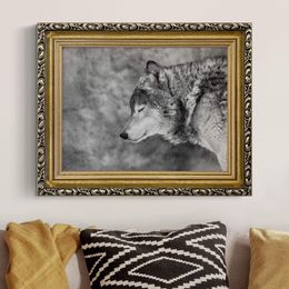 Bilderwelten Bild mit Barockrahmen Antik Tiere Motiv Barock schwarz weiss - Winter Wolf - edle Optik Wohnzimmer Schlafzimmer