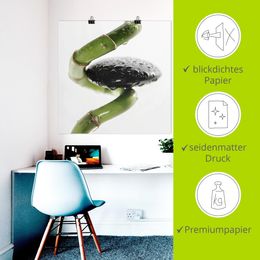 Wandbild Artland, B:70cm H:70cm, gr&uuml;n, Papier, Wohnzimmer, Bilder, "Zen in Balance - Harmonie der Elemente", als Alubild, Leinwandbild, Poster,