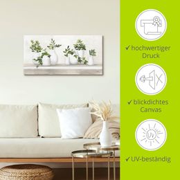 Wandbild Artland, B:150cm H:75cmfarbe bild(er): gr&uuml;n, Leinwand, Wohnzimmer, Bilder, "Plant Life", als Alubild, Leinwandbild, Poster, Wandaufkleber in