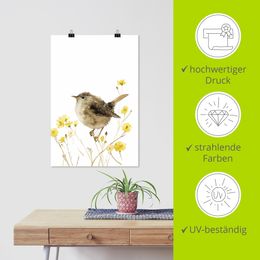Wandbild Artland, B:80cm H:120cm, braun, Papier, Wohnzimmer, Bilder, "Aquarell Zaunk&ouml;nig", als Alubild, Leinwandbild, Poster, Wandaufkleber in