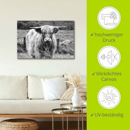 Wandbild Artland, B:120cm H:80cmfarbe bild(er): schwarz, Leinwand, Wohnzimmer, Bilder, "Happy Highland", als Alubild, Leinwandbild, Poster,