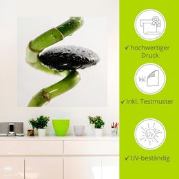Wandbild Artland, B:100cm H:100cm, gr&uuml;n, Vinyl, Wohnzimmer, Bilder, "Zen in Balance - Harmonie der Elemente", als Alubild, Leinwandbild, Poster,