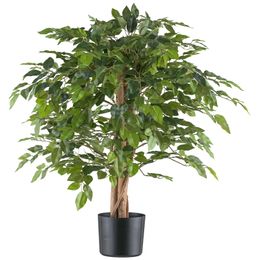 Kunstpflanze Creativ green, H:85cm, gr&uuml;n, Kunststoff, Kunstpflanzen, "Ficus benjamina", mit Naturstamm