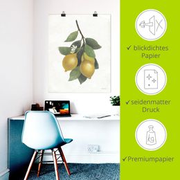 Wandbild Artland, B:90cm H:120cm, gelb, Papier, Wohnzimmer, Bilder, "Lemon Branch III", als Alubild, Leinwandbild, Poster, Wandaufkleber in