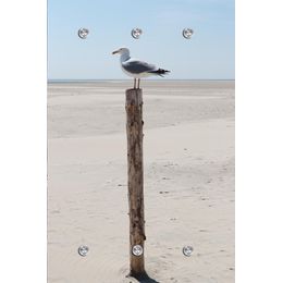 Garderobenpaneel queence "Wandgarderobe mit Motiv Foto einer M&ouml;we am Meer inkl. Edelstahlhaken", wei&szlig;, B:80cm H:120cm T:2,5cm, Acrylglas, Edelstahl, Garderobenpaneele, Garderobenpaneel, HD Premium Druck auf Acrylglas