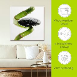 Wandbild Artland, B:70cm H:70cm, gr&uuml;n, Leinwand, Wohnzimmer, Bilder, "Zen in Balance - Harmonie der Elemente", als Alubild, Leinwandbild, Poster,