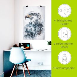 Wandbild Artland, B:80cm H:120cm, wei&szlig;, Papier, Wohnzimmer, Bilder, "Wei&szlig;kopfadler", als Alubild, Leinwandbild, Poster, Wandaufkleber in verschied.