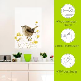 Wandbild Artland, B:80cm H:120cm, braun, Vinyl, Wohnzimmer, Bilder, "Aquarell Zaunk&ouml;nig", als Alubild, Leinwandbild, Poster, Wandaufkleber in
