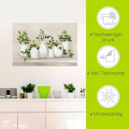 Wandbild Artland, B:120cm H:80cm, gr&uuml;n, Vinyl, Wohnzimmer, Bilder, "Plant Life IV", als Alubild, Leinwandbild, Poster, Wandaufkleber in verschied.
