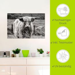 Wandbild Artland, B:90cm H:60cmfarbe bild(er): schwarz, Vinyl, Wohnzimmer, Bilder, "Happy Highland", als Alubild, Leinwandbild, Poster, Wandaufkleber