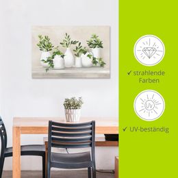 Wandbild Artland, B:60cm H:40cm, gr&uuml;n, Alu Dibond, Wohnzimmer, Bilder, "Plant Life IV", als Alubild, Leinwandbild, Poster, Wandaufkleber in