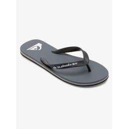 Quiksilver Herren Zehentrenner "MOLOKAI CORE", Gr. 44, grau, Synthetik, Schuhe, Sommerschuhe