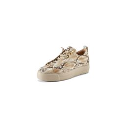Paul Green - Sneaker, beige, Gr. 38 - Leder