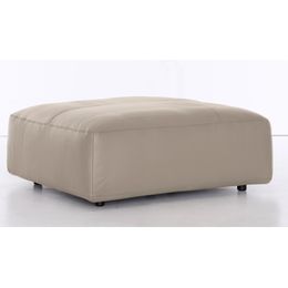 Hocker Musterring "LUCIA", beige (bisquit puro), B:120cm H:43cm T:120cm, Flachgewebe VALMONT (60% Baumwolle/40% Leinen);Leder PURO, pigmentiertes Leder;Microfaser CRONA (100% Polyester);Flachgewebe FLORIS (100% Polyester);Leder BAX, pigmentiertes Leder, Hocker, Hocker