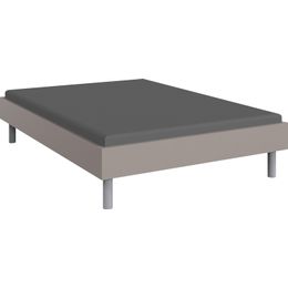 Bett wimex "Easy, gro&szlig;e Auswahl an Gr&ouml;&szlig;en und Farben, auch in Komforth&ouml;he", grau (sahara grau, alufarben), H:38cm L:210cm, Betten, Bett, ohne Kopfteil, ideal unter Dachschr&auml;gen oder Fenster