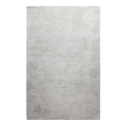 Teppich HOMIE LIVING "Pisa", hellgrau creme meliert, B:160cm H:25mm L:230cm, Polyester, Teppiche, Teppich, Hochflor, Microfaser, uni, weich, Shaggy, Wohnzimmer, Schlafzimmer