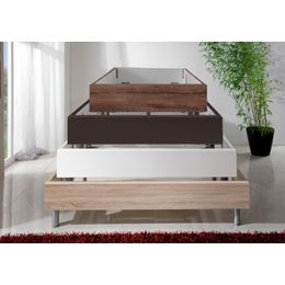 Bett wimex "Easy, gro&szlig;e Auswahl an Gr&ouml;&szlig;en und Farben, auch in Komforth&ouml;he", braun (plankeneichefarben, alufarben), H:46cm L:210cm, Betten, Bett, ohne Kopfteil, ideal unter Dachschr&auml;gen oder Fenster